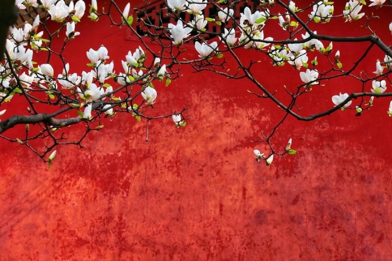 Tuyển tập truyện ngược SE đẫm nước mắt: Dành cho những trái tim tan vỡ ...